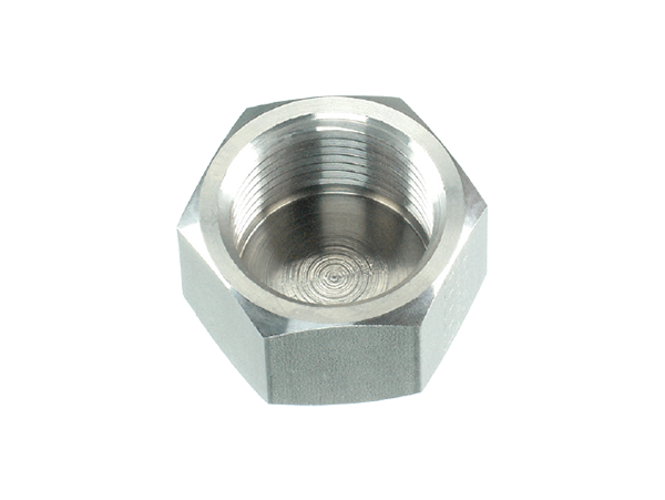 Stainless Steel Caps & Plugs - Hydraulic Adaptors | Hydraulic Megastore